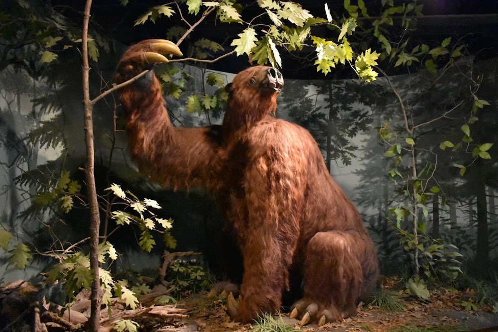 University of Iowa Museum of Natural History - Think Iowa City