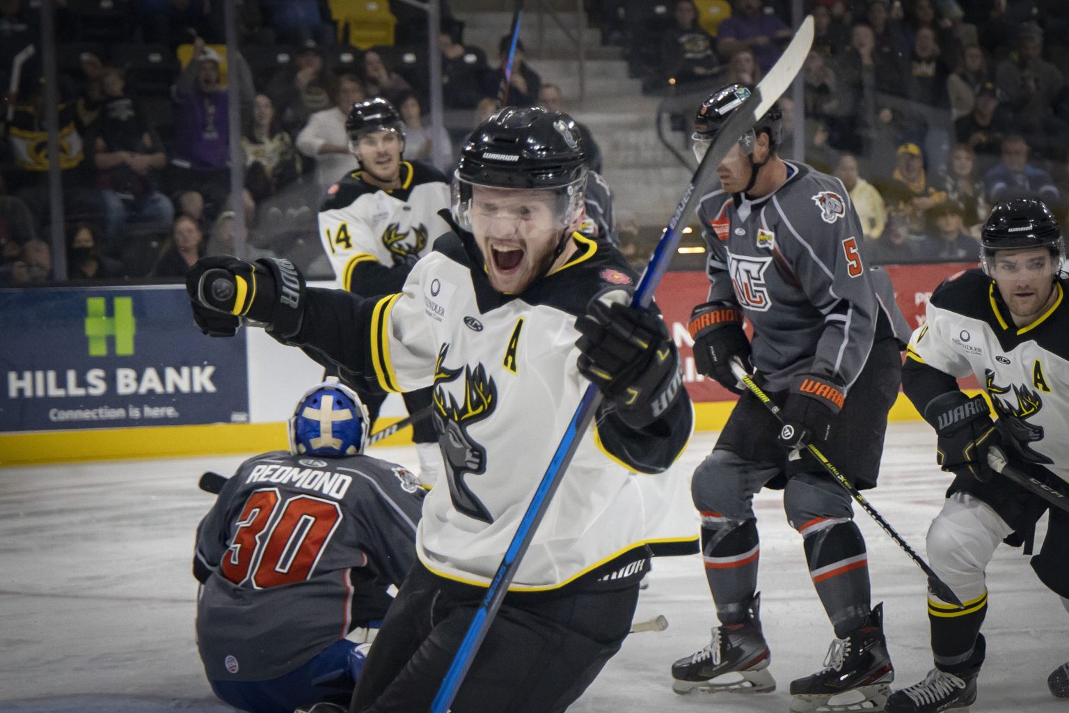 Iowa Heartlanders Hockey 101 | Think Iowa City