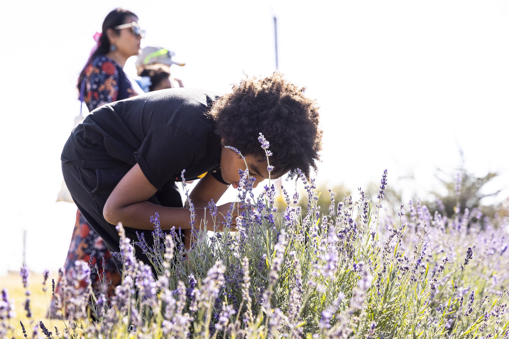 Things To Do In May In Iowa City Area | Think Iowa City