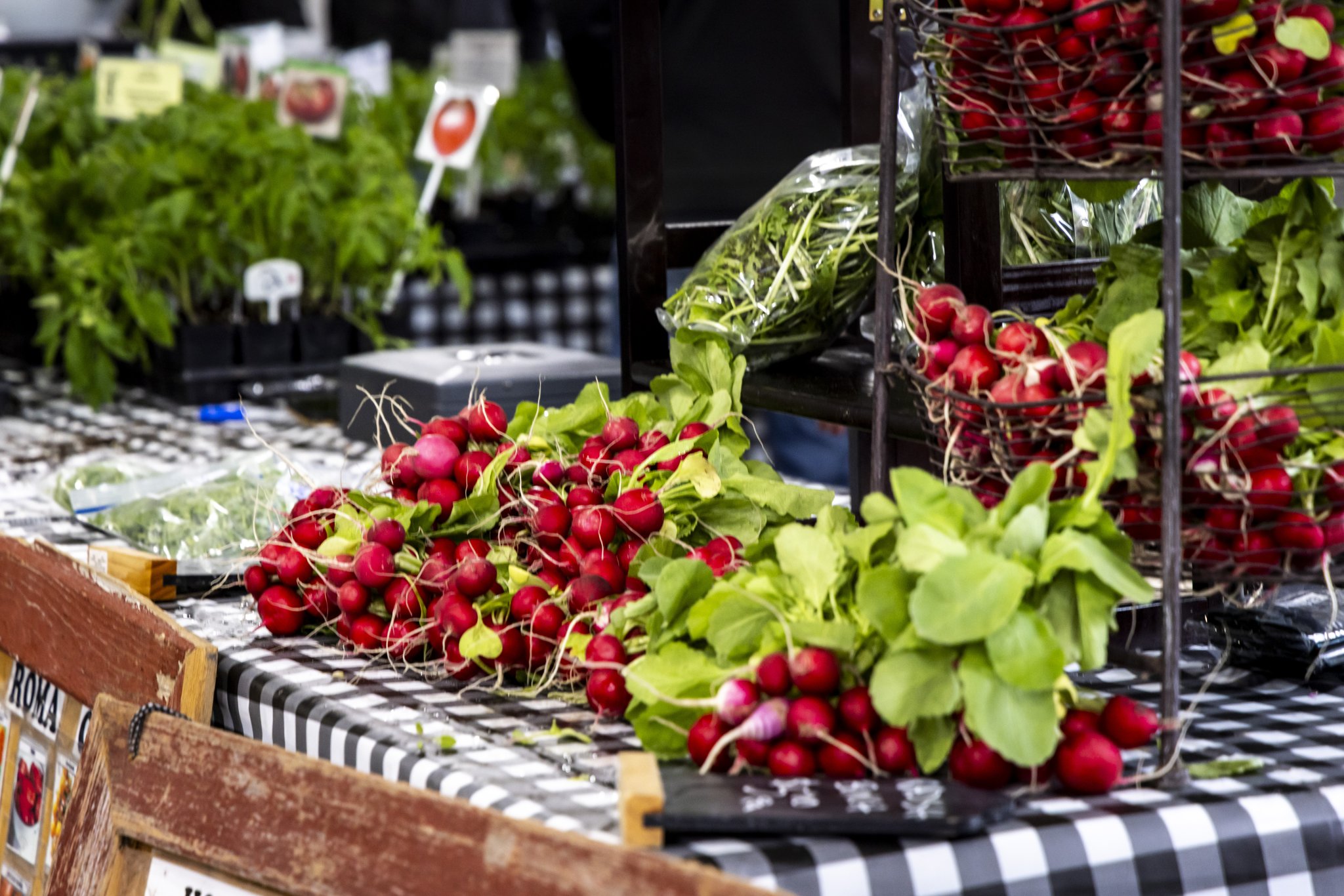 Farmers Market Dates And Times In The Iowa City Area | Think Iowa City