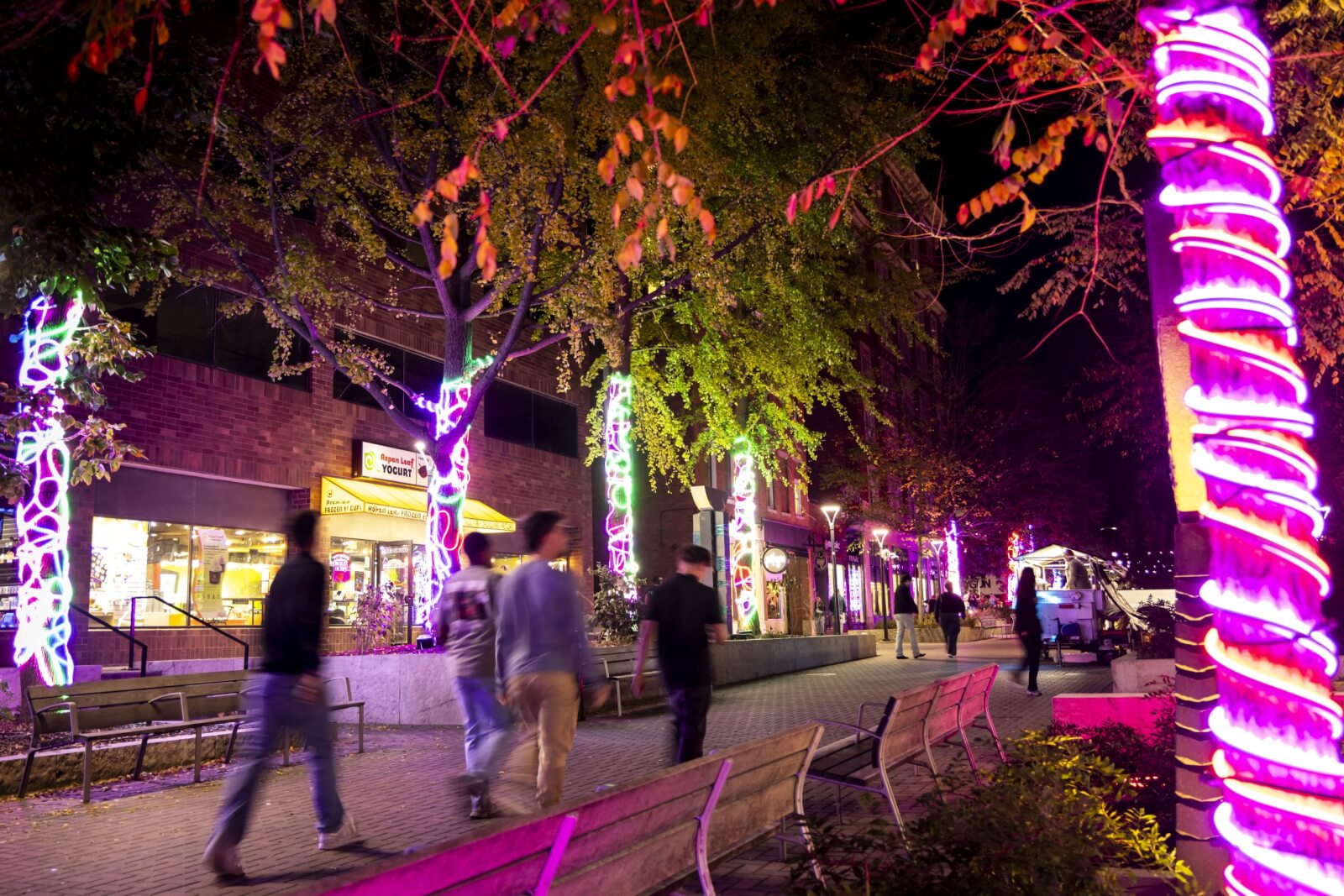 Meet Iowa City Artist Ali Hval | Think Iowa City