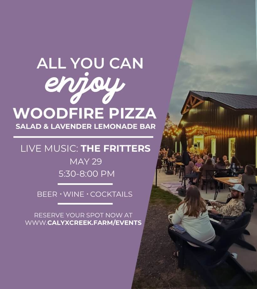 Discover Iowa City's Exciting Annual Events